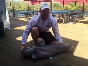 New Colossal Fish Contest