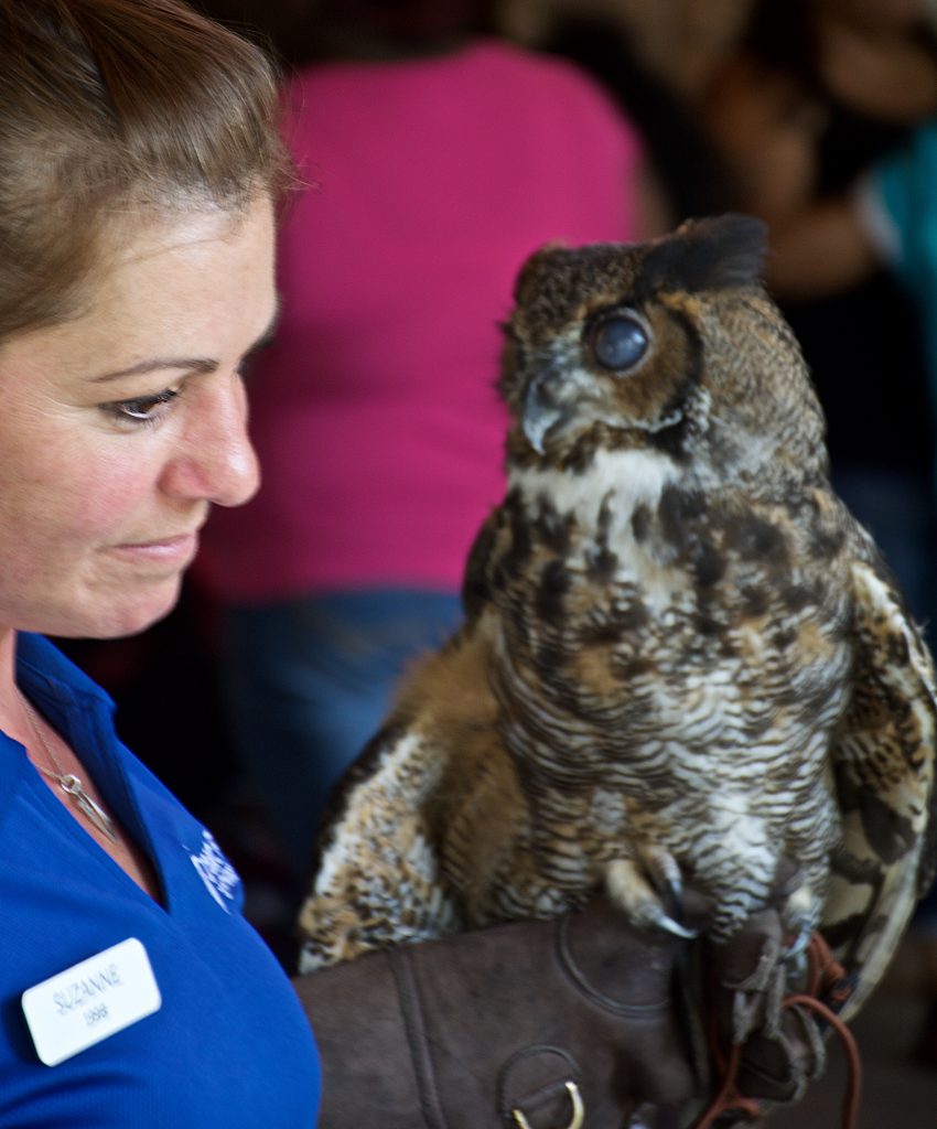 Whooo’s Out There?