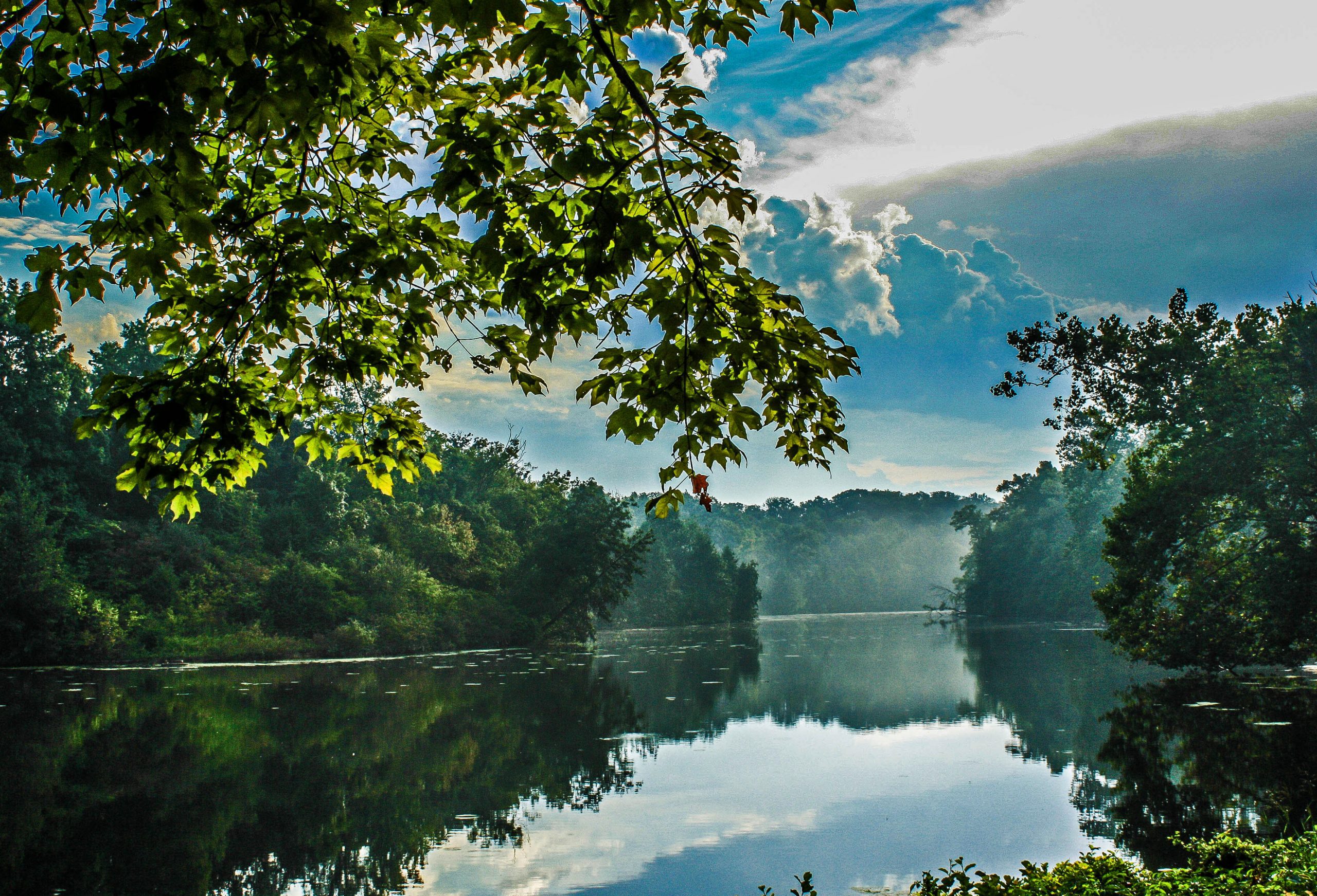 Great Parks to Install 370 Recycling Bins, Expand Recycling Program