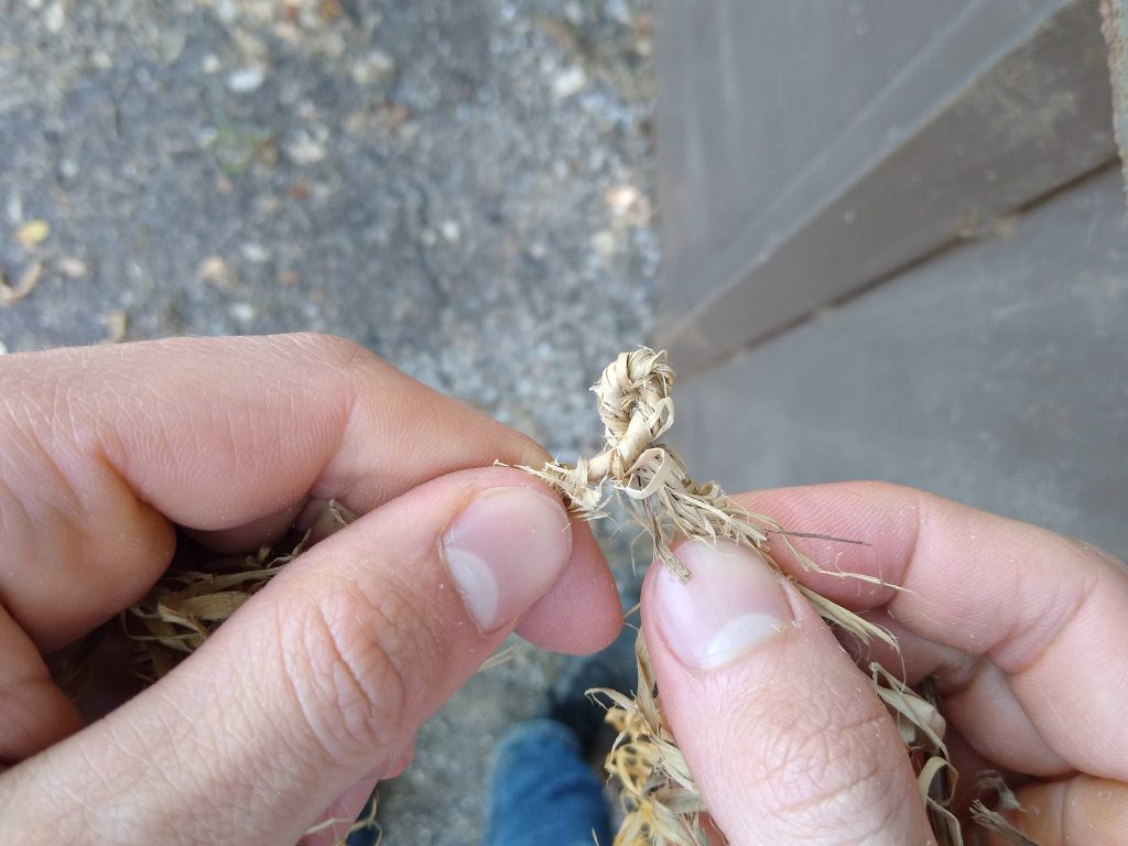 Making Rope From Plants: A Craft for the Easily Entertained Nature Lover