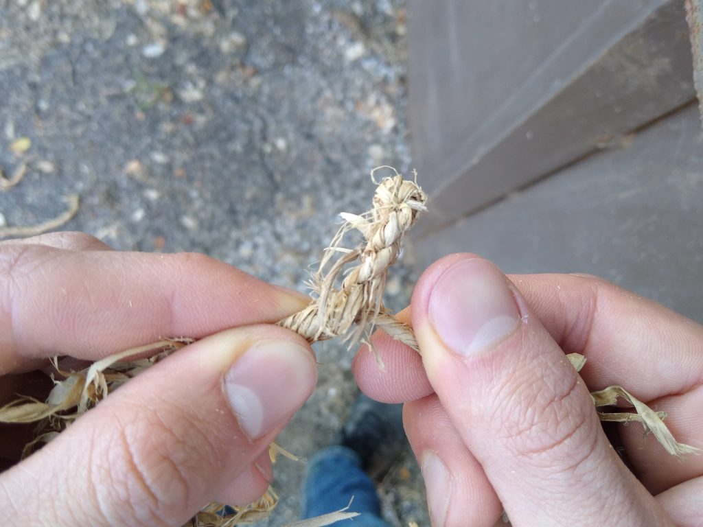 Making Rope From Plants: A Craft for the Easily Entertained Nature Lover